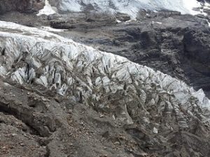 Muräne, Moräne, Maräne – wo ist der Unterschied?